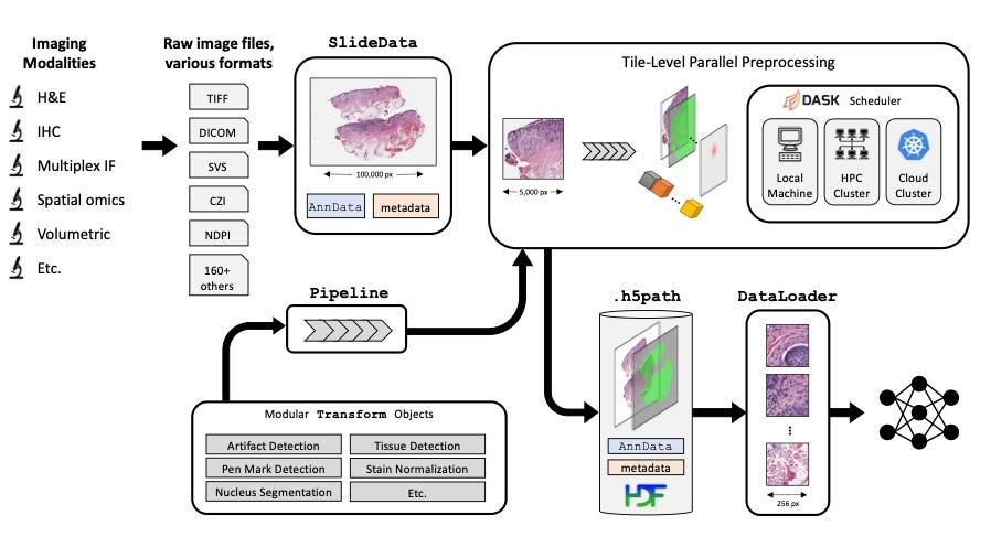 PathML Python package for computational pathology. | by Batuhan Ayrıbaş ...