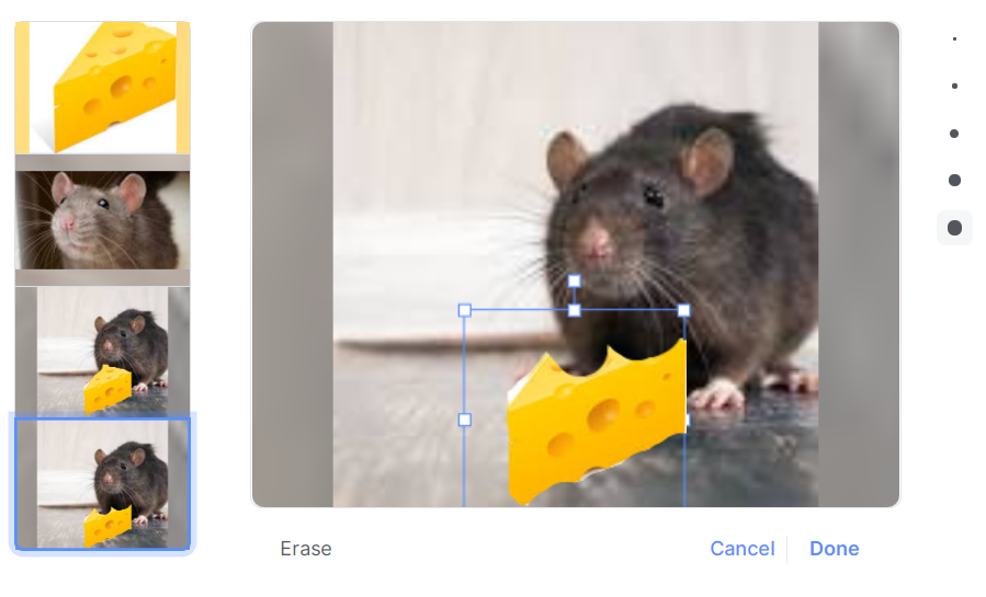How to use collages when creating a flip | by Idena | Idena | Medium