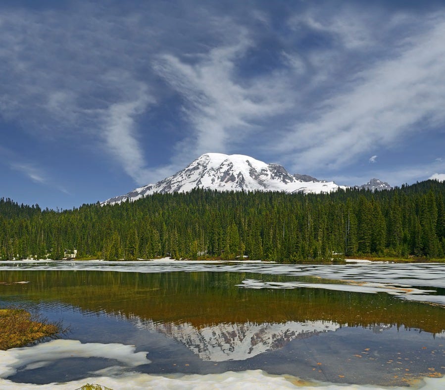 Lewis County, Washington Premier Utility Detection And Inspection ...