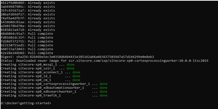 How I’ve just installed Sitecore 10 XP using containers | by Árvai ...