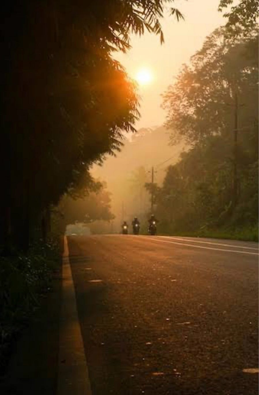 The Hidden Truth: 80% of People Fail Because of Their Morning Routine ...