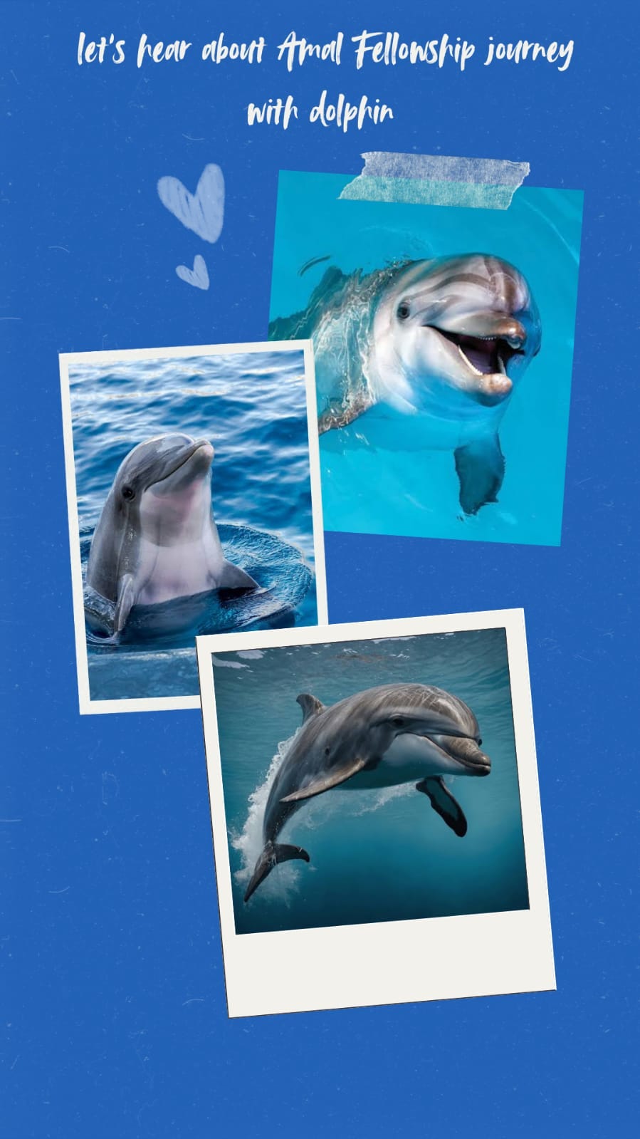 Reflection on My Journey of first two weeks at Amal Academy: | by Janeetaahmed | Oct, 2024 | Medium