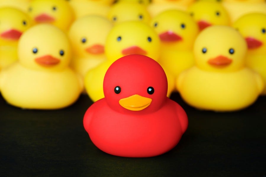 Embracing the quirkiness of duck typing in python | by Fiona Githaiga ...