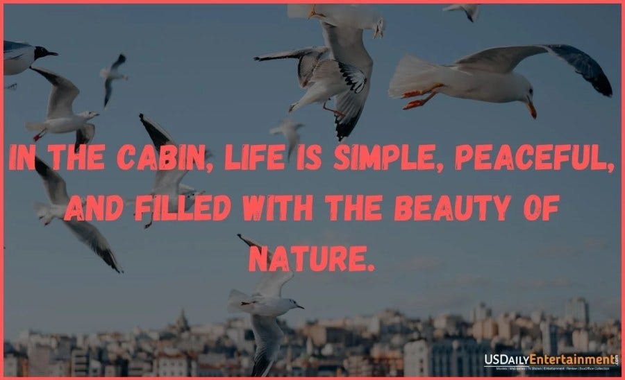 Quotes About Cabin Life: Nature’s Serene Quotes 2023 | by ...