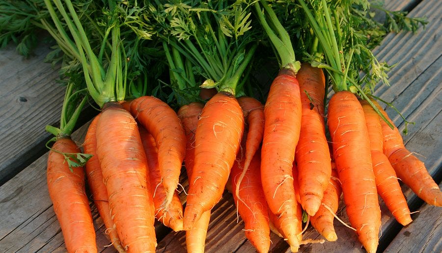 Benefits of Carrots for Skin | by healthy & stylish | Healthy & Stylish ...