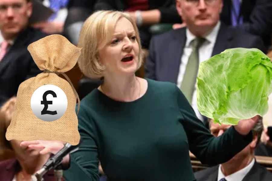 Liz Truss Brand Memes — Lettuce Take A Look! | by Profound Evolution ...