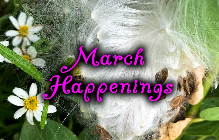 March Happenings Around Town. Experience the fabulous events… | by ...
