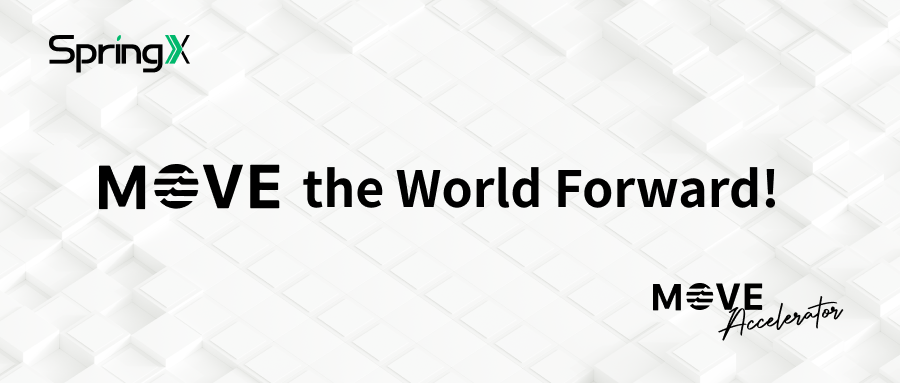 SpringX MOVE NA Wrap-Up. MOVE with Aptos in North America | by Buidler DAO | May, 2024 | Medium