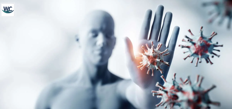Humoral vs Cell-Mediated Immunity | by world care magazine | Nov, 2025 ...