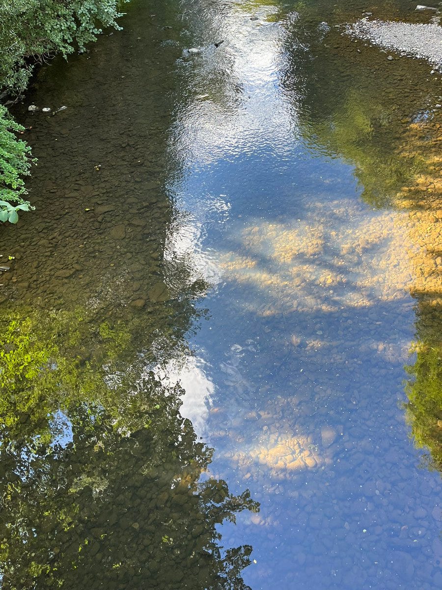 A different way Of noticing a river Strange reflections - Haiku - Medium