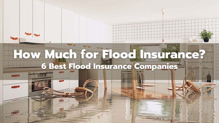 How Much for Flood Insurance? 6 Best Flood Insurance Companies | by ...