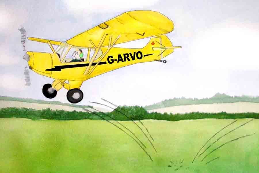 Gone Cubbing. If you read The Compleat Taildragger… | by Adrian Bleese ...