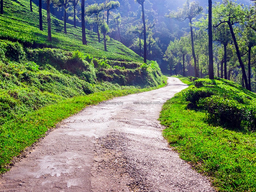 Manjolai: Where Verdant Hills Embrace Azure Skies | by Sabaritha | Medium