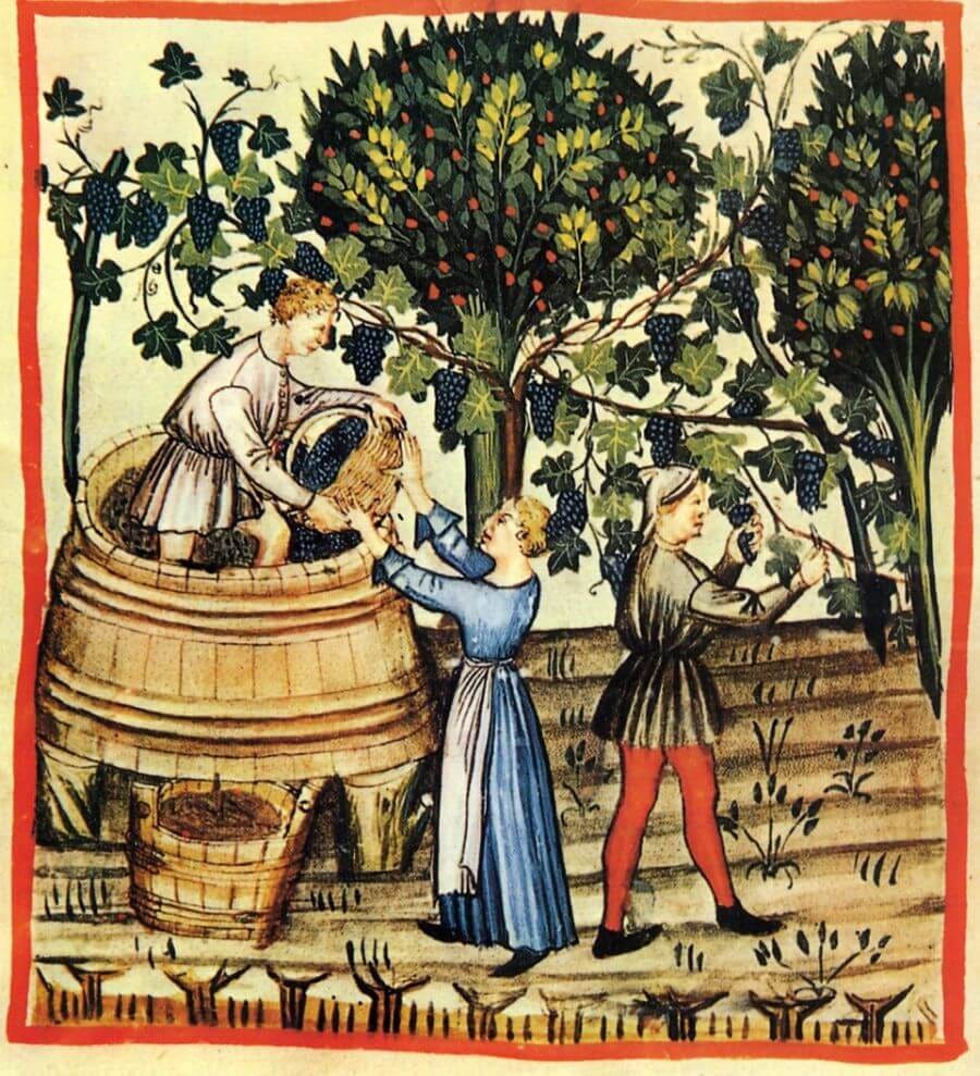 Astrología y Vinos: la perfecta combinación entre los signos del zodiaco y los sabores divinos ...