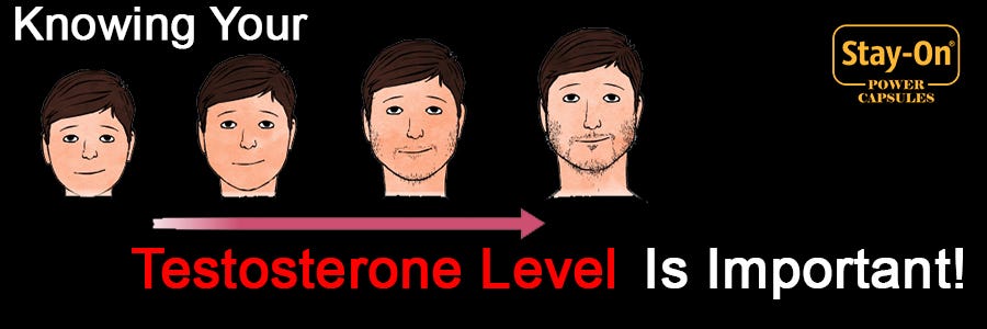 What Happens To Testosterone Level With Age? | by Noemie Bistro | Medium