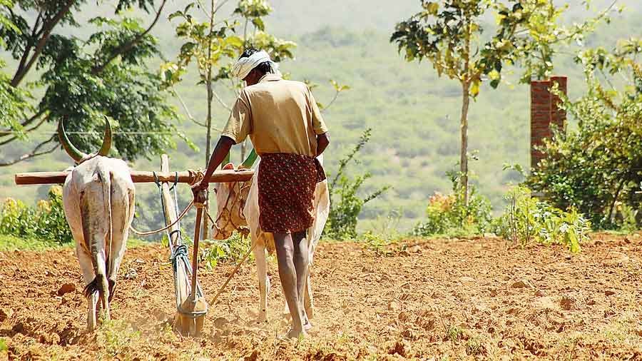 What Are Best Natural Farming Practices? | by ishka organics | Medium