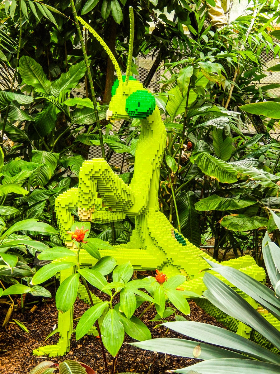 Day 22 Lego Creature | by Sarah Campbell | The Next Layer | Medium