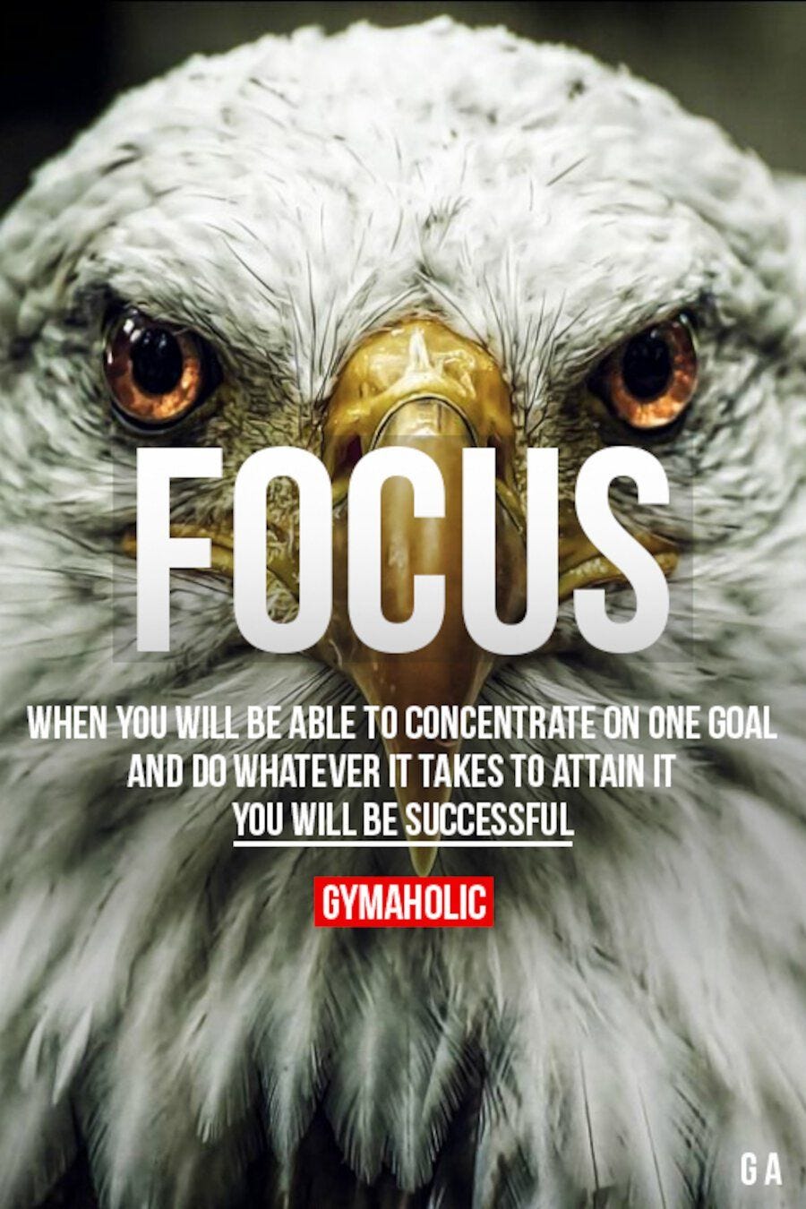 “Unlocking Entrepreneurial Success: Cultivating a Mindset for Empowerment and Growth” | by ...