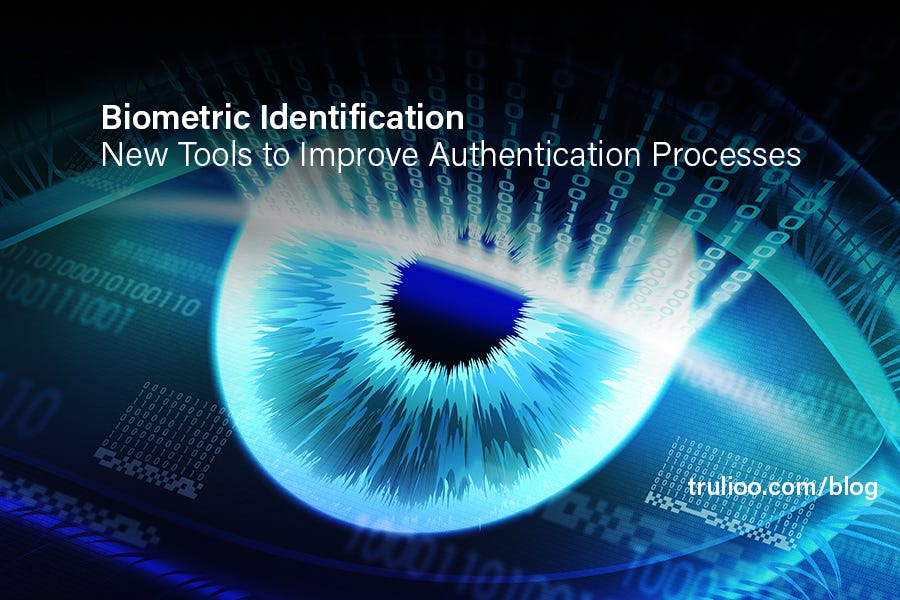 Biometric Identification — New Tools to Improve Authentication ...