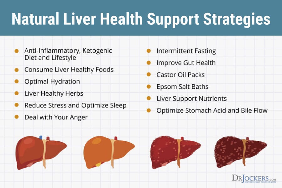 Is Fasting Good For Your Liver (and Does it Work?) | by Maxwell Fasts ...