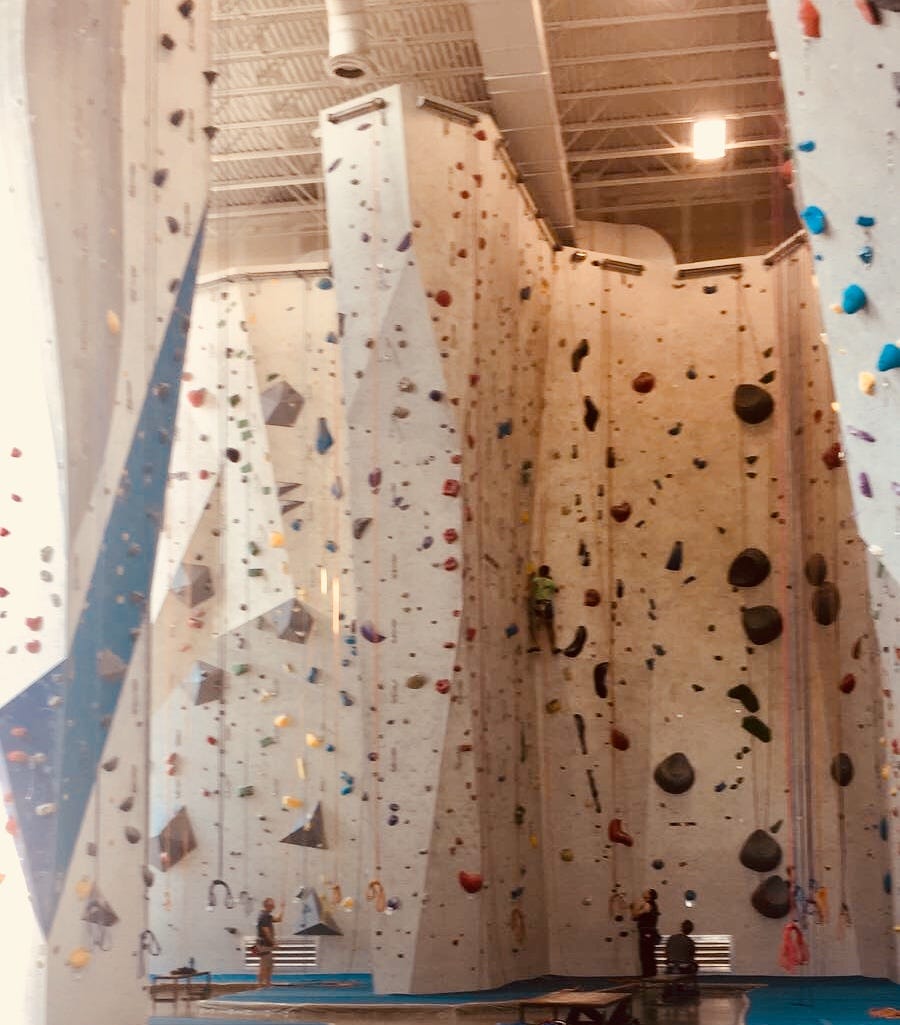 Climbing 101. The Basics of Climbing on Day 1 | by The Mist | Medium