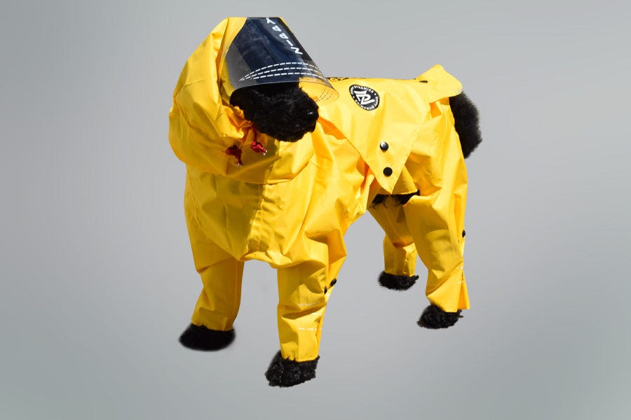 Full Body Dog Raincoat: The Perfect Thing to Shop for Your Dog | by Zippy Dynamics Dog Apparel ...