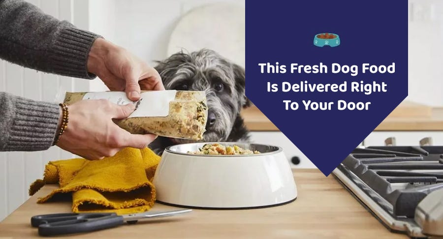 5 Reasons to Make the Switch to a Fresh Dog Food Delivery Service | by ...