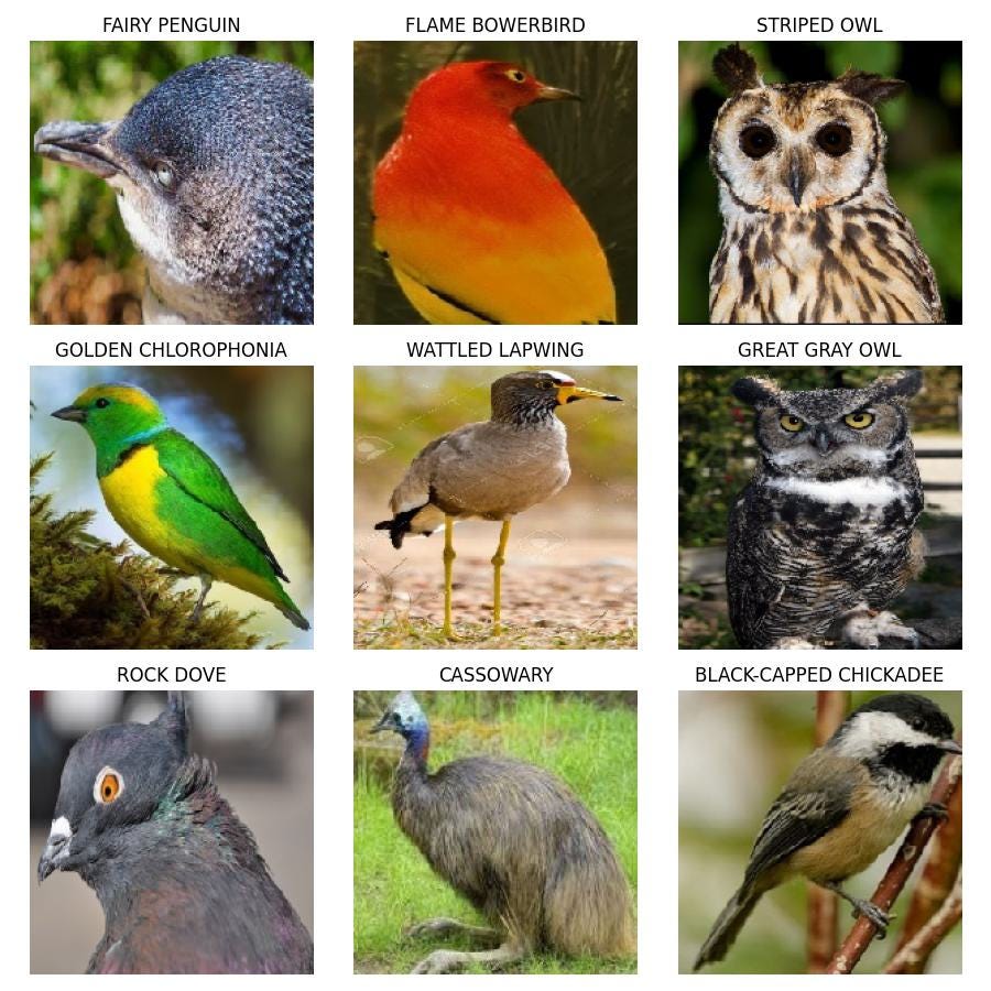 Reconocimiento de Aves con Transfer Learning y TensorFlow.js ...