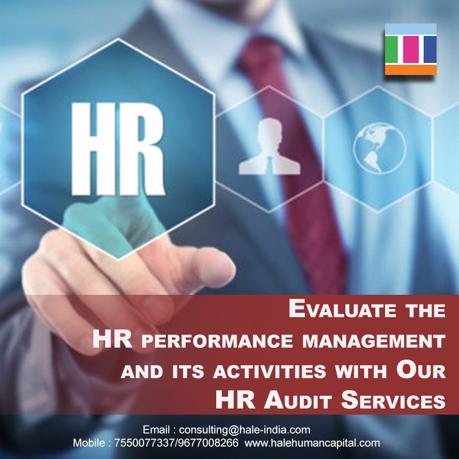 What are the interesting facts about Hale Human Capital HR Audit ...