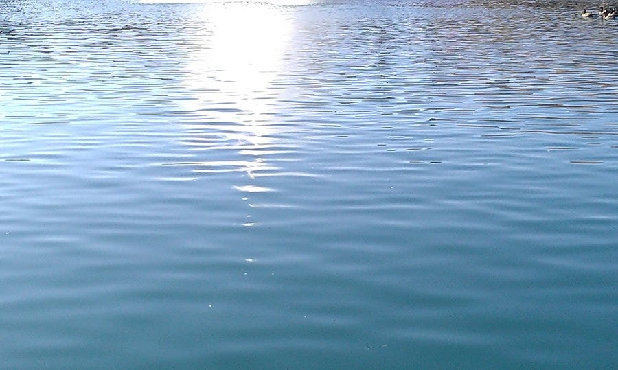 Be Still and Know. Be still and know. | by Anna Poe | Medium