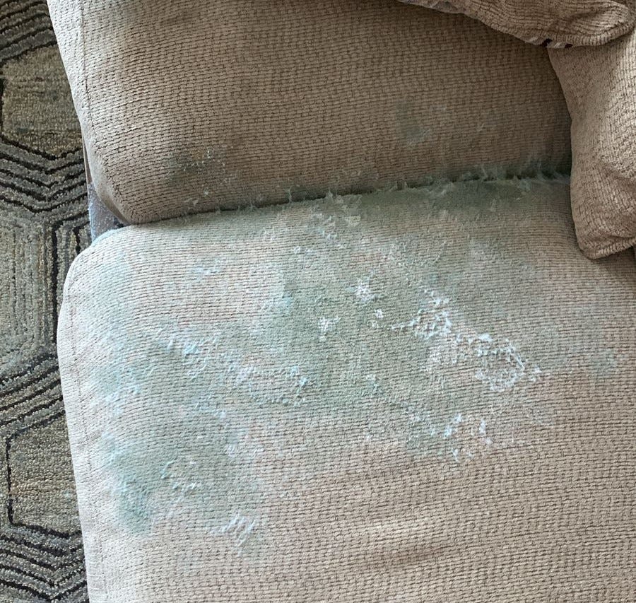 The Unseen Enemy: Mold on Fabrics | by Cleantel Service | Jul, 2024 ...
