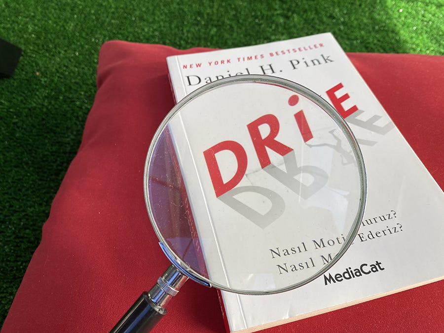 Drive — Daniel H. Pink | Kitap Özeti | by Evren Akar | Jan, 2023 | Medium