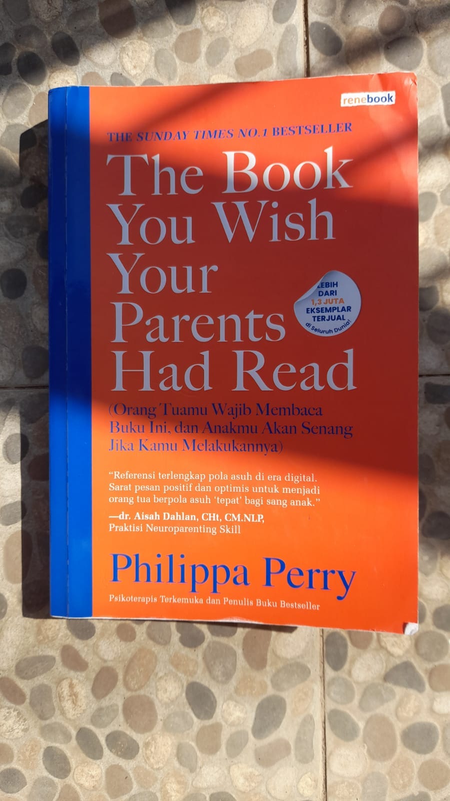Review Buku The Book You Wish Your Parents Had Read by Philippa Perry ...