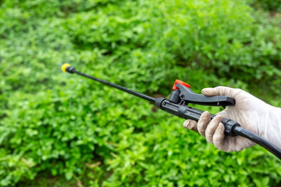 Global Insecticides Waste Management Market: Collaborative Strategies ...