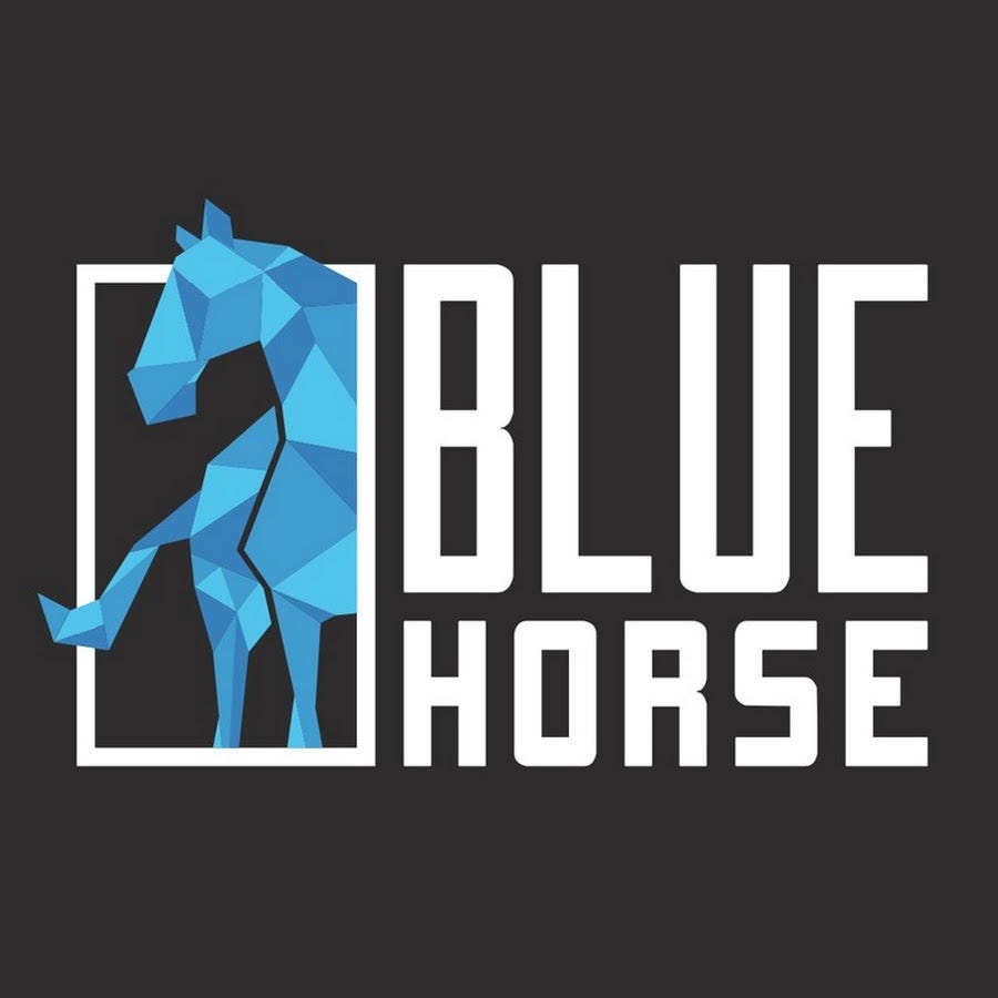 Meilleur Holidays: Affordable Tourism Pioneers, Developed by BlueHorse Software | by Shalari ...