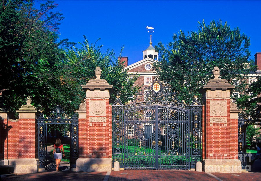 Guide to International College Visits | by Madison Frye | Medium