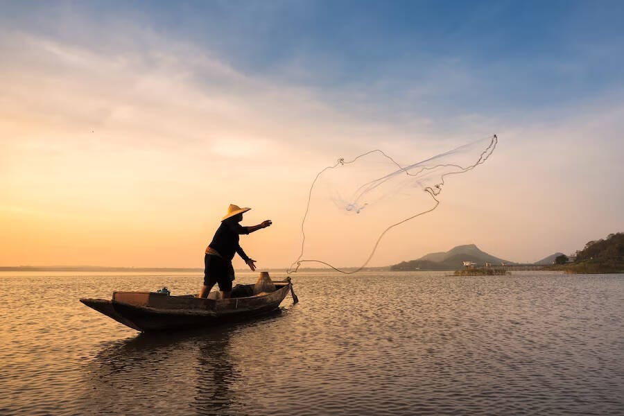 Mastering the Art of Sea Fishing: Tips and Techniques | by Annapolis ...