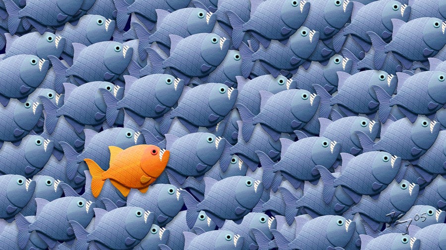 3 Tips to Make Your App Stand Out This CASPA Season | by Janelle ...
