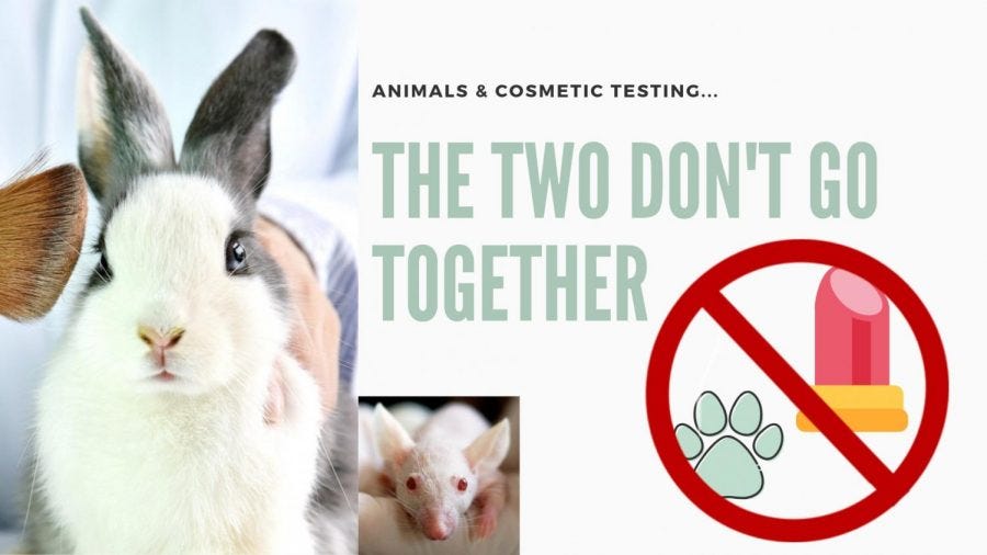Animal Testing in Cosmetics. Testing cosmetics on animals has been a ...