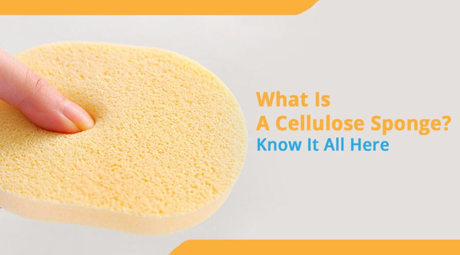 What Is A Cellulose Sponge? Know It All Here - Sponge Center - Medium