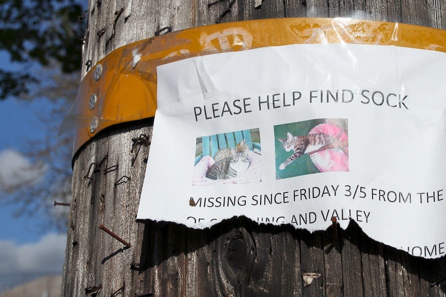 Lost your mojo? Here’s how to get it back. | by Liza Sperling | Medium