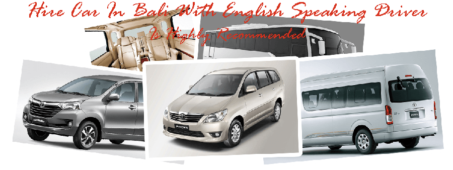 🌾Gede Rio Bali Driver 🌴🌻🚗🚐🚘 - RR Tour Bali - Medium