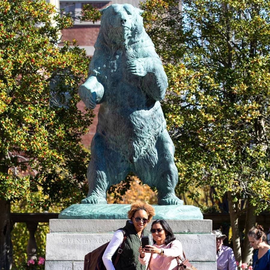 Brown University’s Bear Statues: A Guide to Every Bruno on Campus | by ...