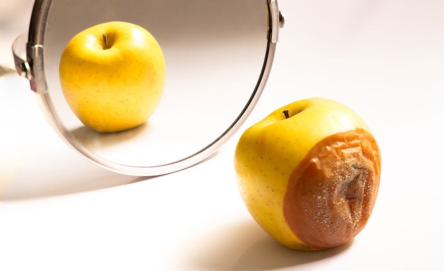 Safeguarding Our Plates: Combating Food Fraud Through Innovation | by ...