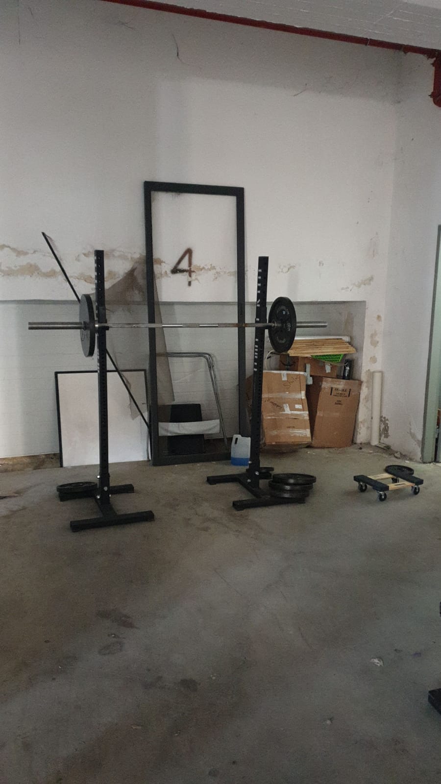 The Beginners Guide To Barbell Training | by David Ben Moshe | In ...