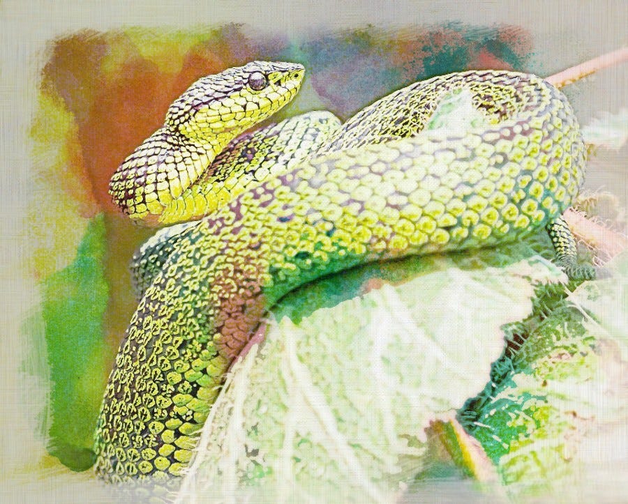Love and Compost. Poem | by Gary Chapin | Contemplate | Mar, 2025 | Medium