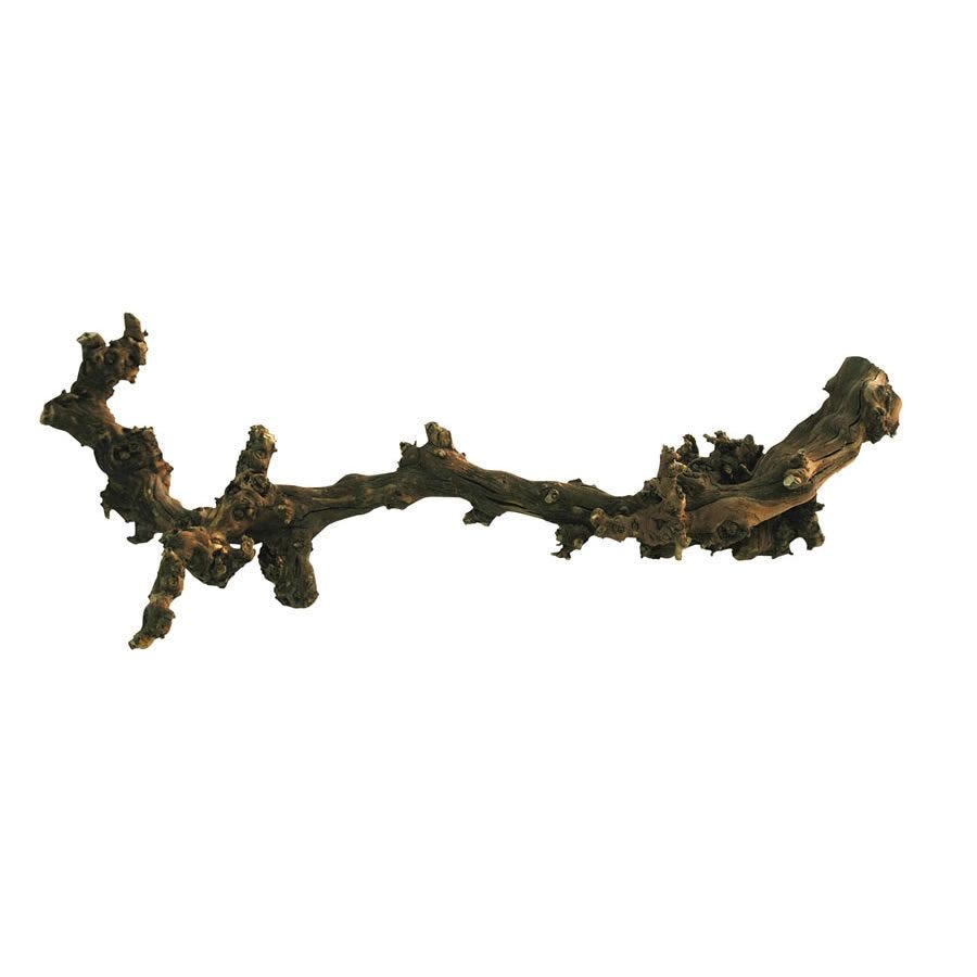 Lucky Reptile Dark Grapevine — Large | by Aquarium fish | Medium