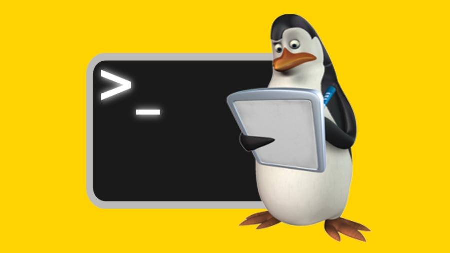 What happens when you type ls -l in the shell? | by K.Wong | Medium