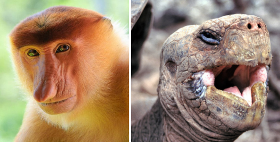 The Founders Story. To celebrate Hippo’s 4th Birthday, we… | by Hippo ...