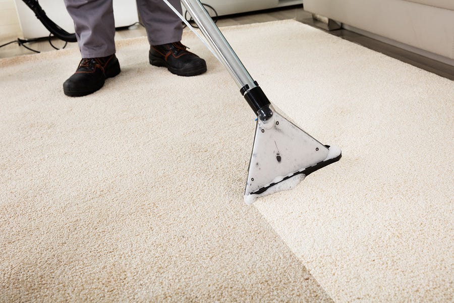 Commercial Carpet Cleaners In Tucson Arizona: Everything You Need To ...